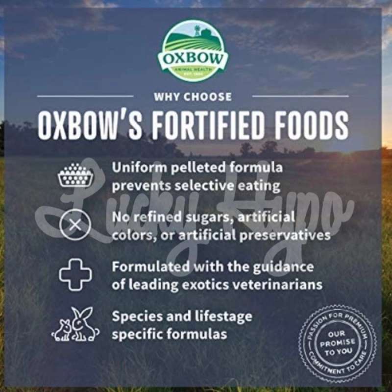 Promo Oxbow Essential Young Guinea Pig Food 5lbs 2.25kg Makanan Anak ...