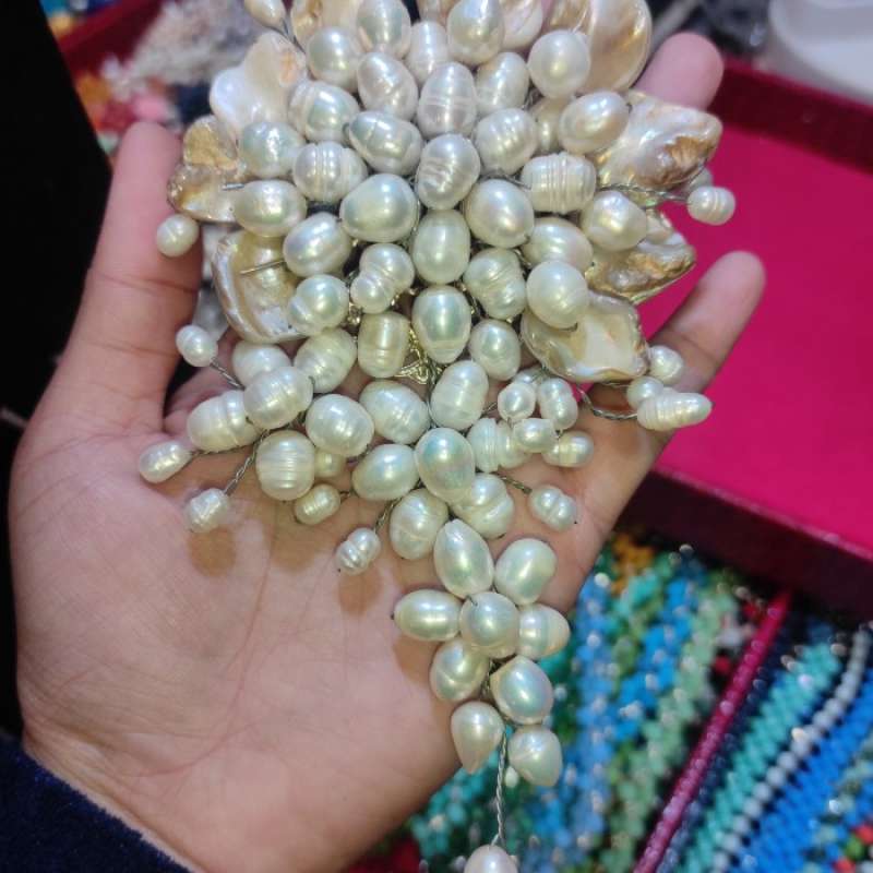 Jual Bros Big Size Kerang Mix Mutiara Asli Air Tawar Lombok Di Seller ...