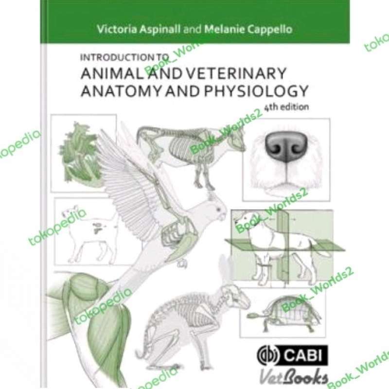 Jual Introduction To Animal And Veterinary Anatomy And Physiology 4th ...