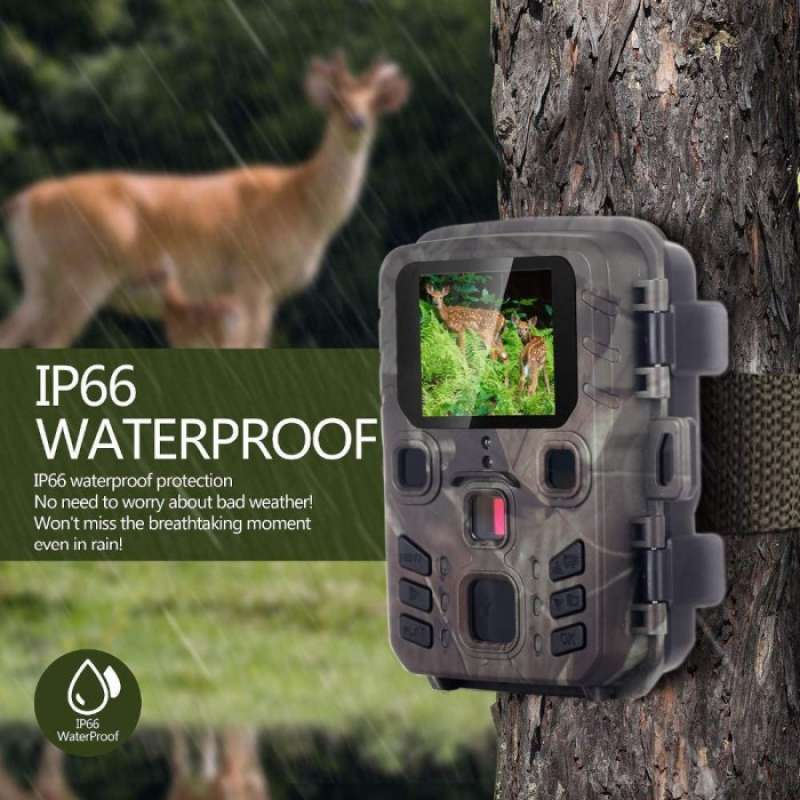 Jual Mini 20mp Hunting Trail Camera Trap Solar Panel Photo Video Nv Ir ...