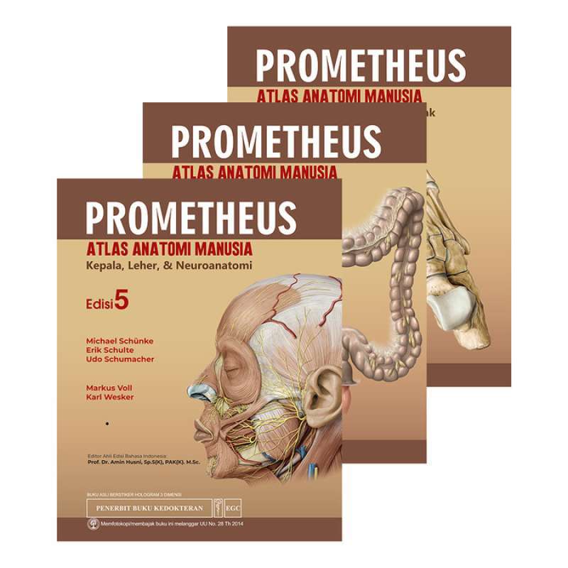 Jual Egc Prometheus Atlas Anatomi Manusia Edisi 5 (set 3 Buku) Di ...