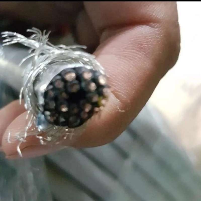 Jual Kabel Screen Liycy 12x0.5 Mm Delta Grey Abu2 12 X 0.5 Di Seller ...