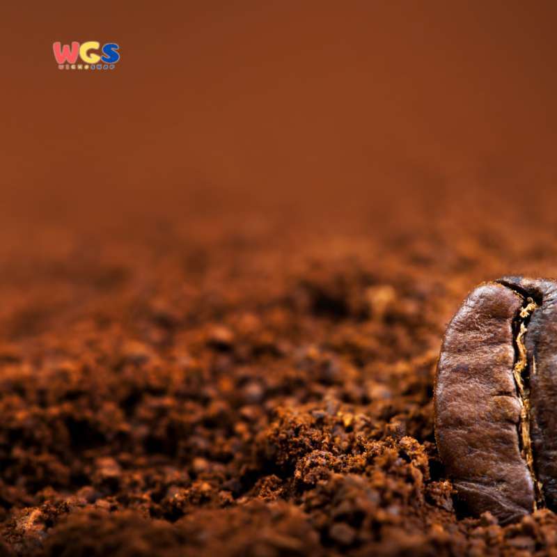 Jual Boncafe Toraja Single Origin Roasted Arabica 100% Ground Coffee ...