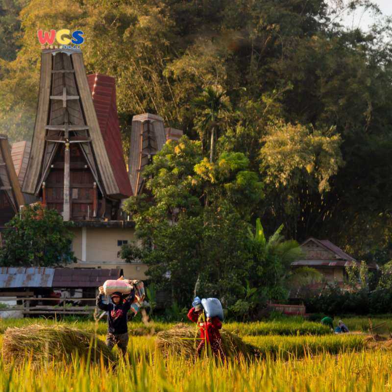 Jual Boncafe Toraja Single Origin Roasted Arabica 100% Ground Coffee ...