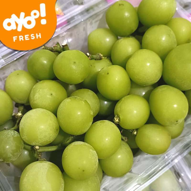 Anggur Muscat 1 Kg Gratis Ongkir 🔥 Harga Murah Januari 2026