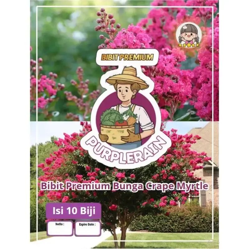 Jual Bunga Crape Myrtle Putih 💯 Harga Murah & Kualitas Terbaik Mei 2026