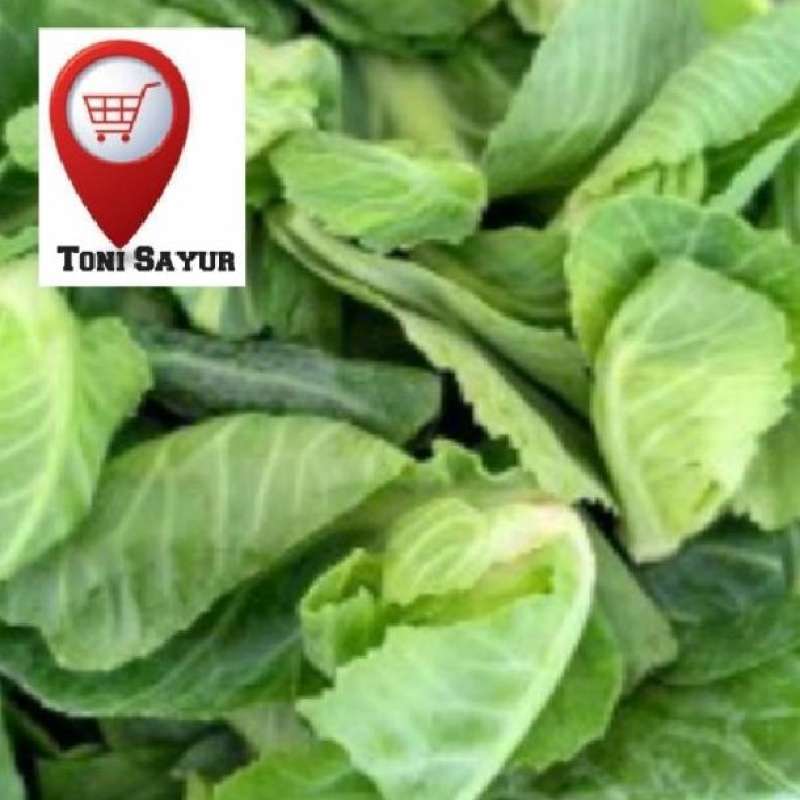 Jual daun ceriwis /sayur criwis 250 gr Halal di Seller Toni Sayur ...