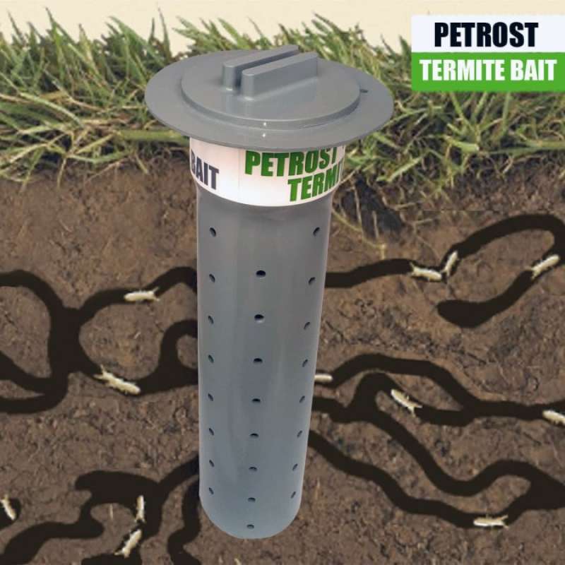 Jual Obat Anti Rayap Model Umpan Kayu Tanam - Racun Pembasmi Rayap Di ...