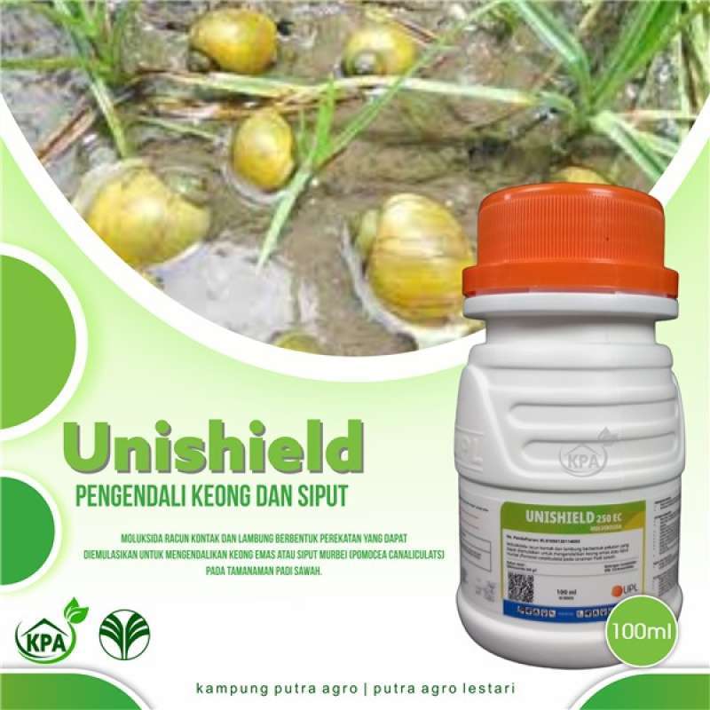 Jual Pengendali Hama Keong Emas dan Siput pada Tanaman Padi sawah - UNISHIELD 250EC di Seller ...