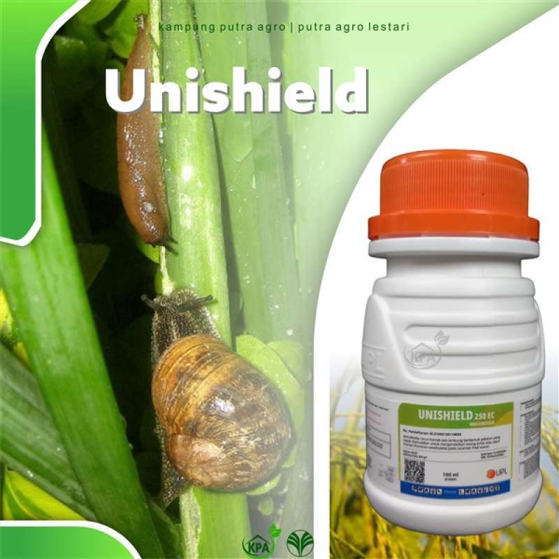 Jual Pengendali Hama Keong Emas dan Siput pada Tanaman Padi sawah ...