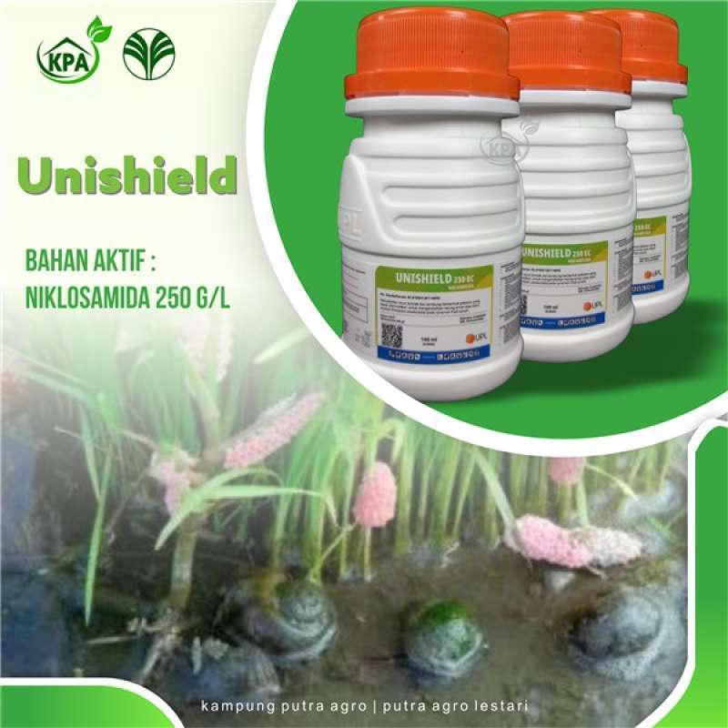 Jual Pengendali Hama Keong Emas dan Siput pada Tanaman Padi sawah - UNISHIELD 250EC di Seller ...
