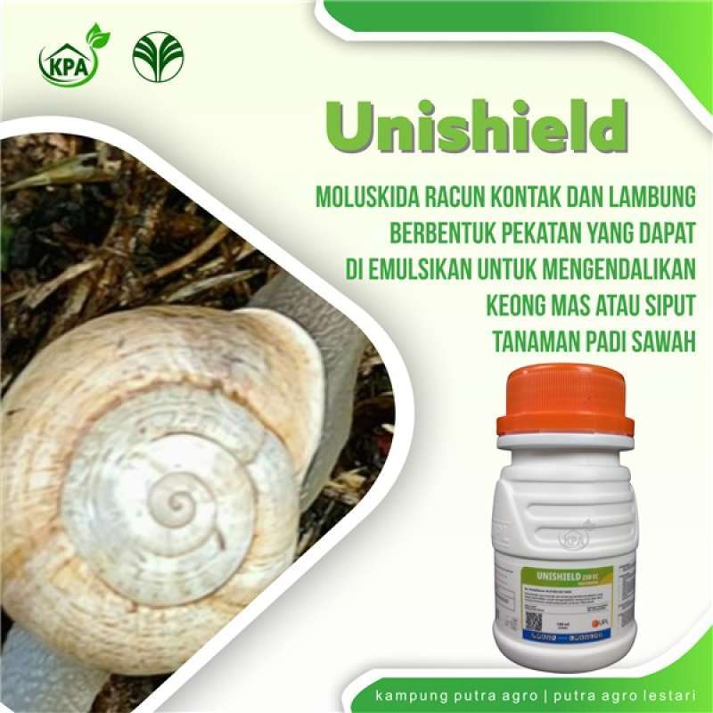 Jual UNISHIELD 250EC - Pengendali Hama Keong Emas dan Siput pada ...