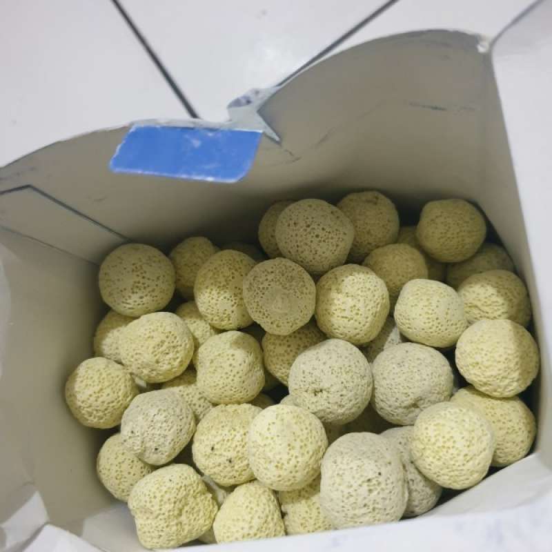 Promo Bacteria House Sphere Media Filter Biologi Rumah Bakteri Wasser 1 ...