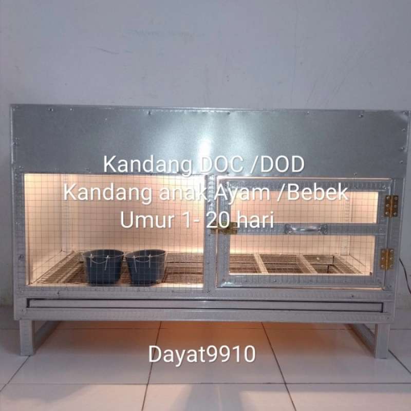 Promo Kandang Doc/dod,dayat9910, Umur 1-20 Hari Diskon 23% Di Seller Sumber Raharja - Petojo ...