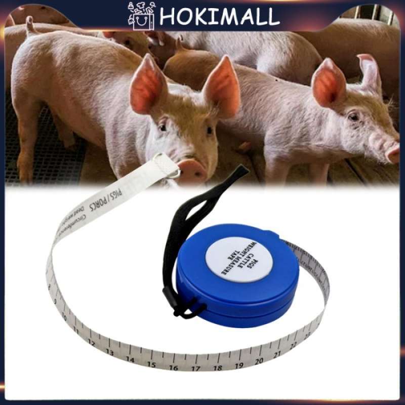 Promo 2.5M Meteran Sapi/ Alat Ukur Lingkar Dada Sapi Diskon 28% di ...