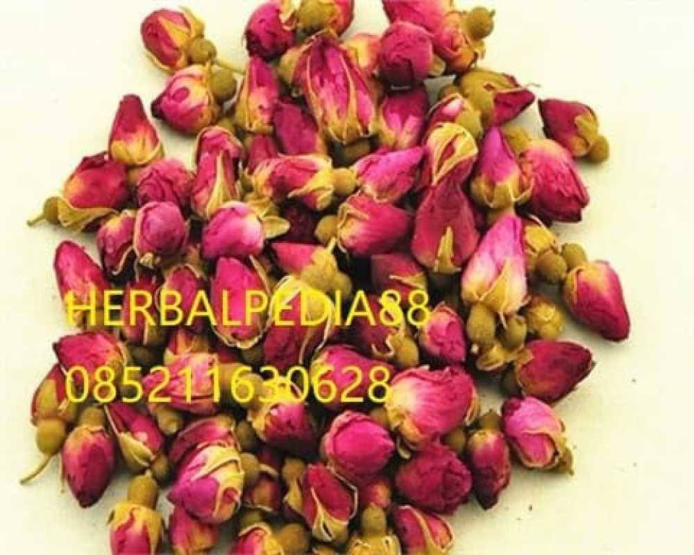 Promo mei gui hua 玫瑰花 Rosae rugosae Flos Bunga rose 1kg Diskon 23% di ...