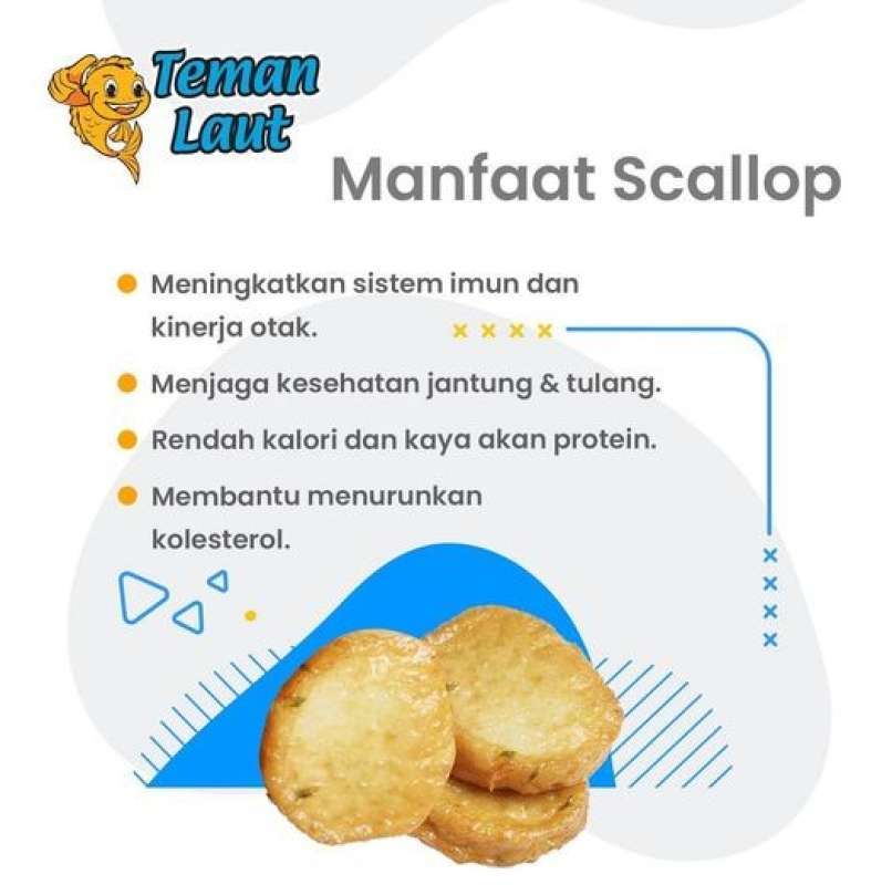 Promo Cedea Teman Laut Scallop Ikan [500gr & 200gr ] Scallop Teman Laut ...