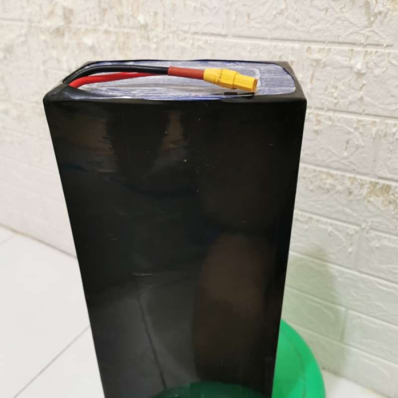 Jual batere pack molis goda lifepo4 60v 23aH BMS 40A di Seller Plaza ...