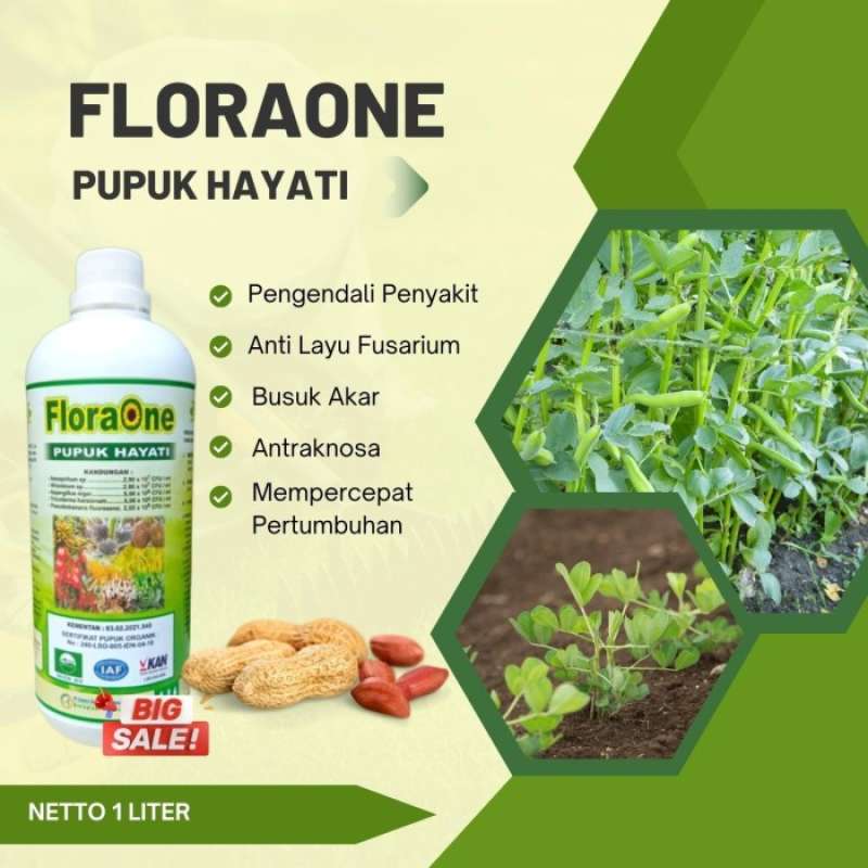 Promo Tricoderma Fungisida Hayati Pupuk Cair, Trichoderma Sp Anti Jamur ...
