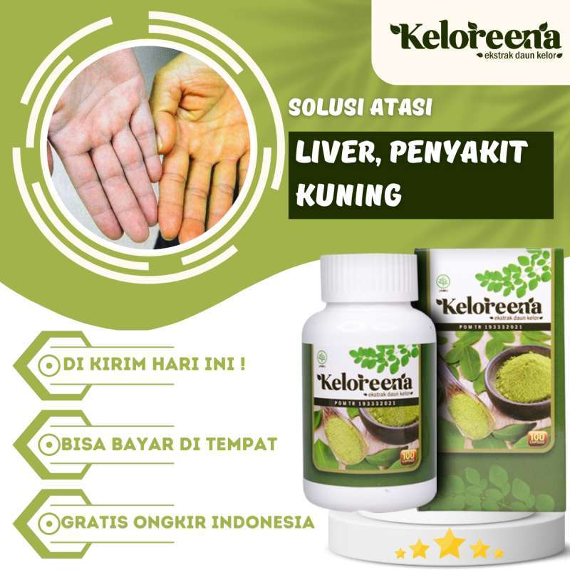 Jual Obat Liver, Penyakit Kuning Liver Infeksi Hati - Obat Hepatitis ...