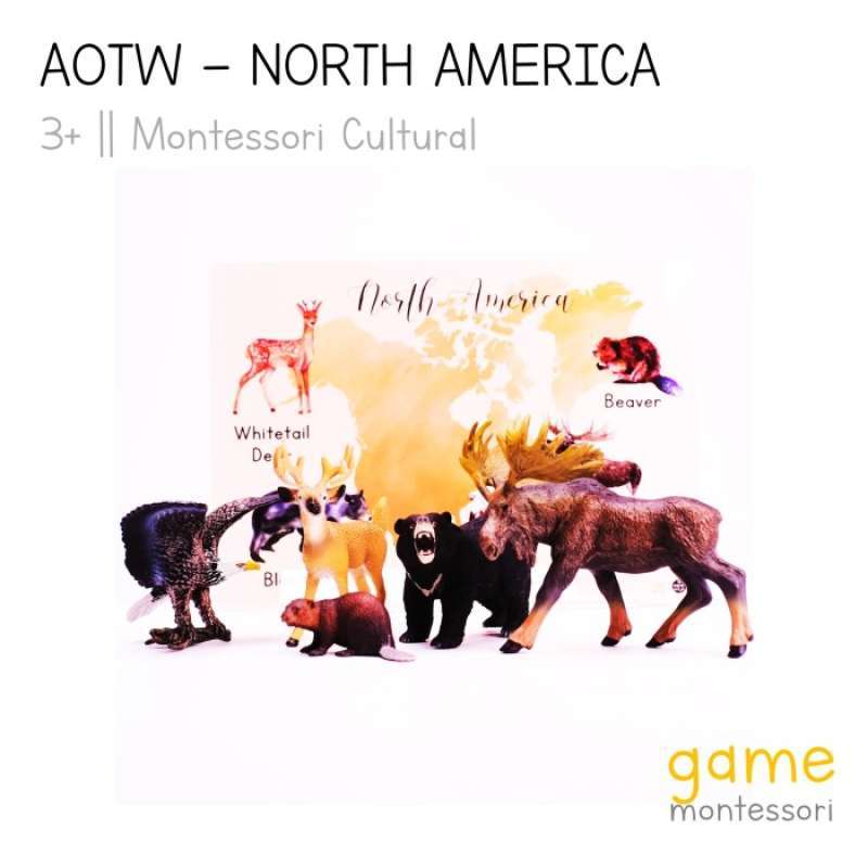 Promo Montessori Cultural Around The World Animals North America Set ...
