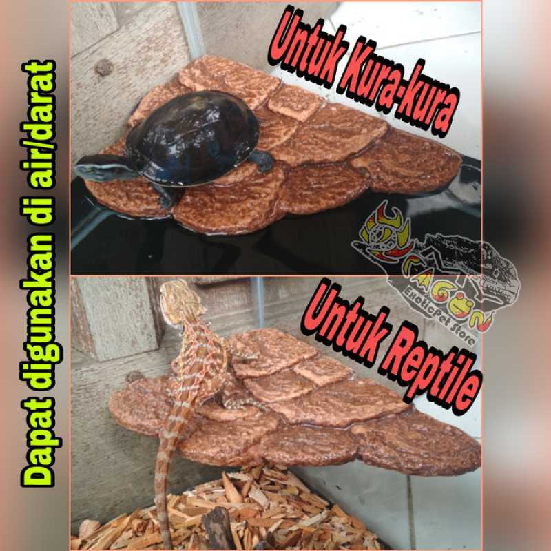 Promo Basking Ram, Turtle Bank, Tempat Berjemur Kura, Reptile, Ular Diskon 23% Di Seller Fuzzi ...