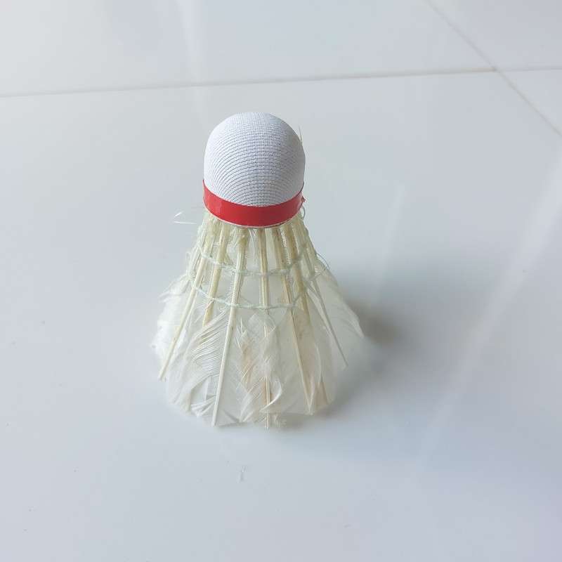 Jual Ina Solo Shuttlecock Terbaik Mei 2024 - Harga Murah & Gratis ...