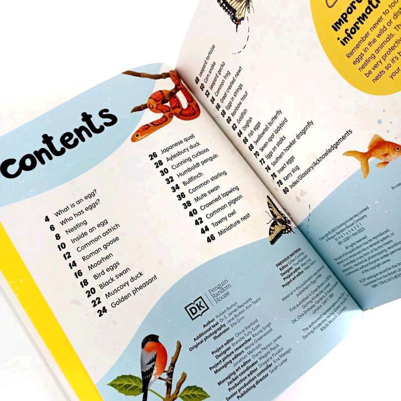 Promo Dk The Egg Book Diskon 3% Di Seller Minibabycare Books - Babatan ...