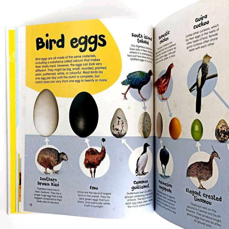 Promo Dk The Egg Book Diskon 3% Di Seller Minibabycare Books - Babatan ...