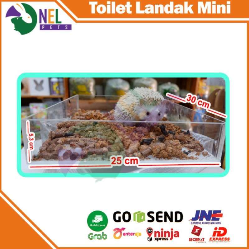 Promo TOILET ACRYLIC HEDGEHOG M by ONEL/toilet landak mini hamster/bak ...