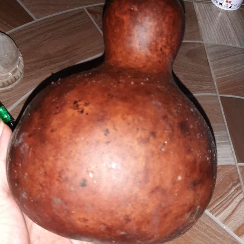 Promo Labu Botol Kering Tua Utuh Real Pict Diskon 33% Di Seller ...