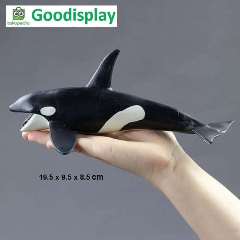 Promo mainan model simulasi hewan laut sea life ikan paus orca killer ...