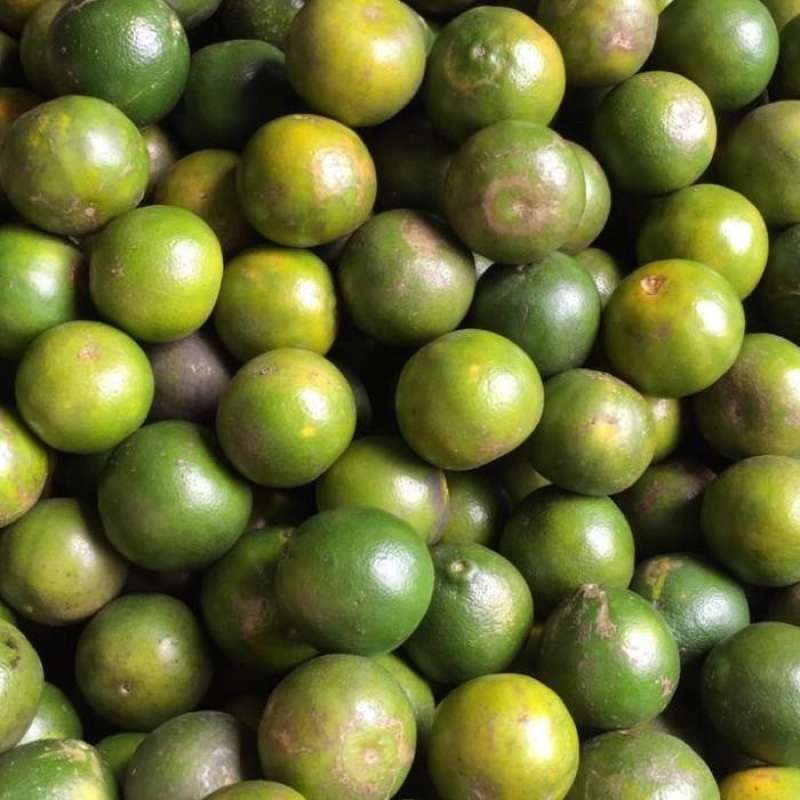 Jual Jeruk Peras / Murah / Sayur / Buah / Diskon / 1 Kilo Di Seller ...