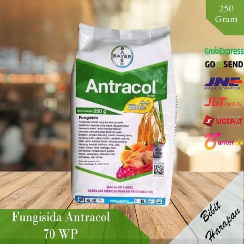 Promo Fungisida Antracol Obat Hama Jamur Obat Tanaman 70WP ZInc 250 ...
