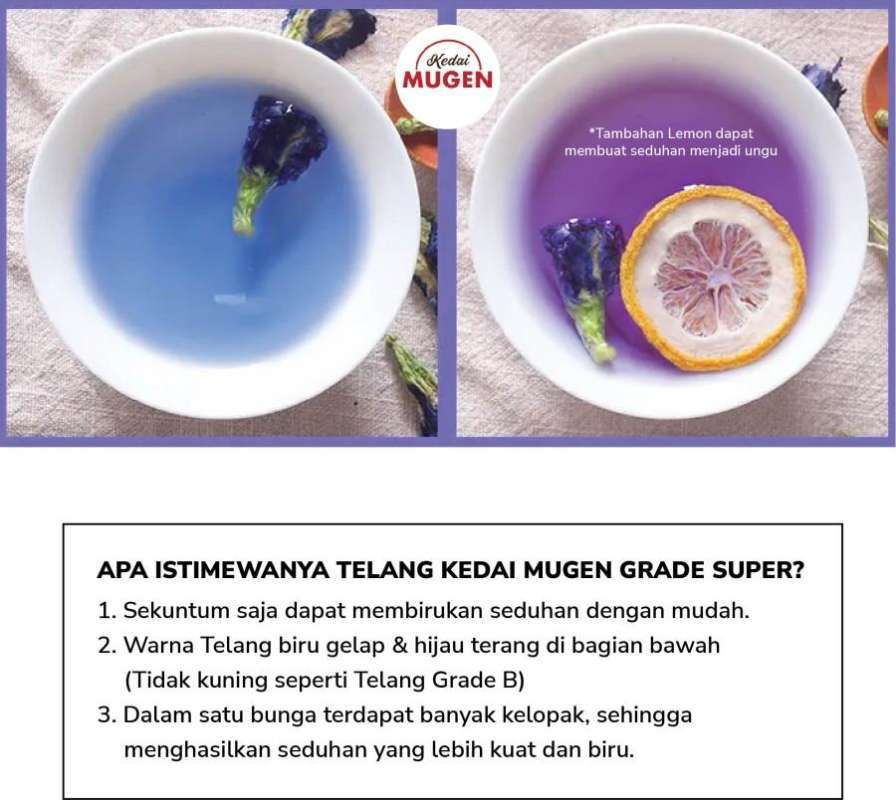 Promo Teh Bunga Telang Kering/dried Butterfly Pea Tea Kedai Mugen 20g ...