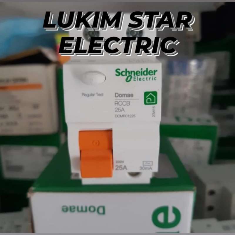 Promo Rccb/elcb Schneider 25a 2phase 30ma/elcb 25a 2p 30ma Domae (tipe Baru) - 30ma Diskon 50% ...