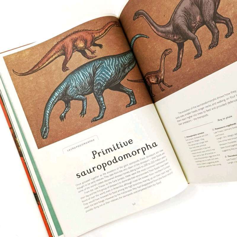 Jual Dinosaurium Welcome To The Museum Di Seller Minibabycare Books ...