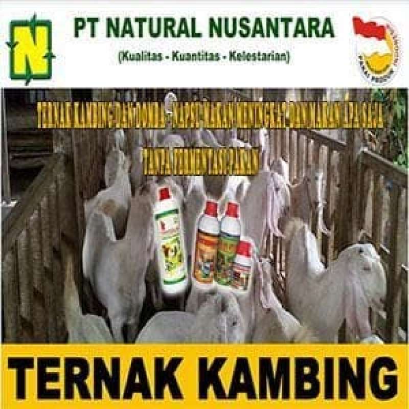 Promo Paket Penggemukan Ternak Kambing Dan Domba Pakan Fermentasi ...