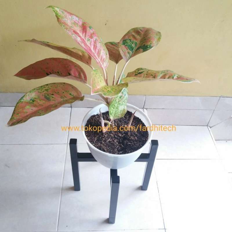 Promo Promo - Standing Planter, Stand Pot Bunga Besi D25 Cm, Cat Powder ...