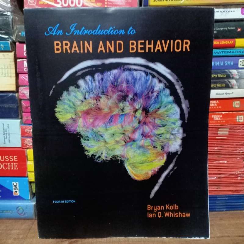 Promo Buku Import An Introduction To Brain And Behavior By Bryan Kolb ...