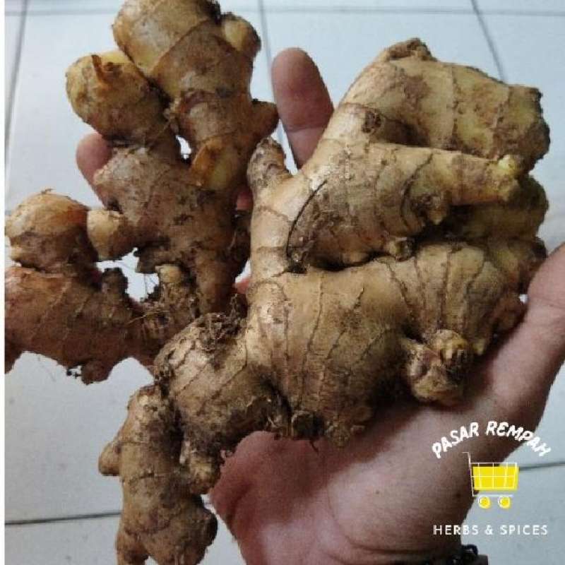 Jahe 1 Kg Segar Gratis Ongkir 🏷️ Harga Murah Juni 2026