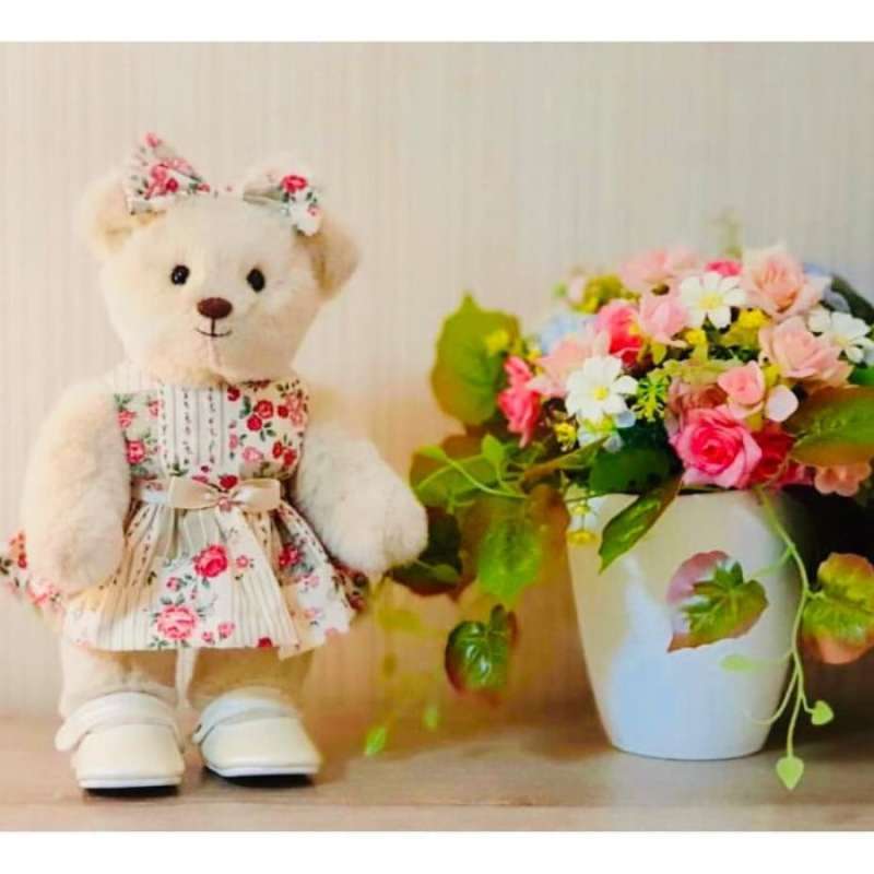 Jual Teddy House Boneka Teddy Bear Willy Bear 10 Inchi Di Seller Kingyo ...