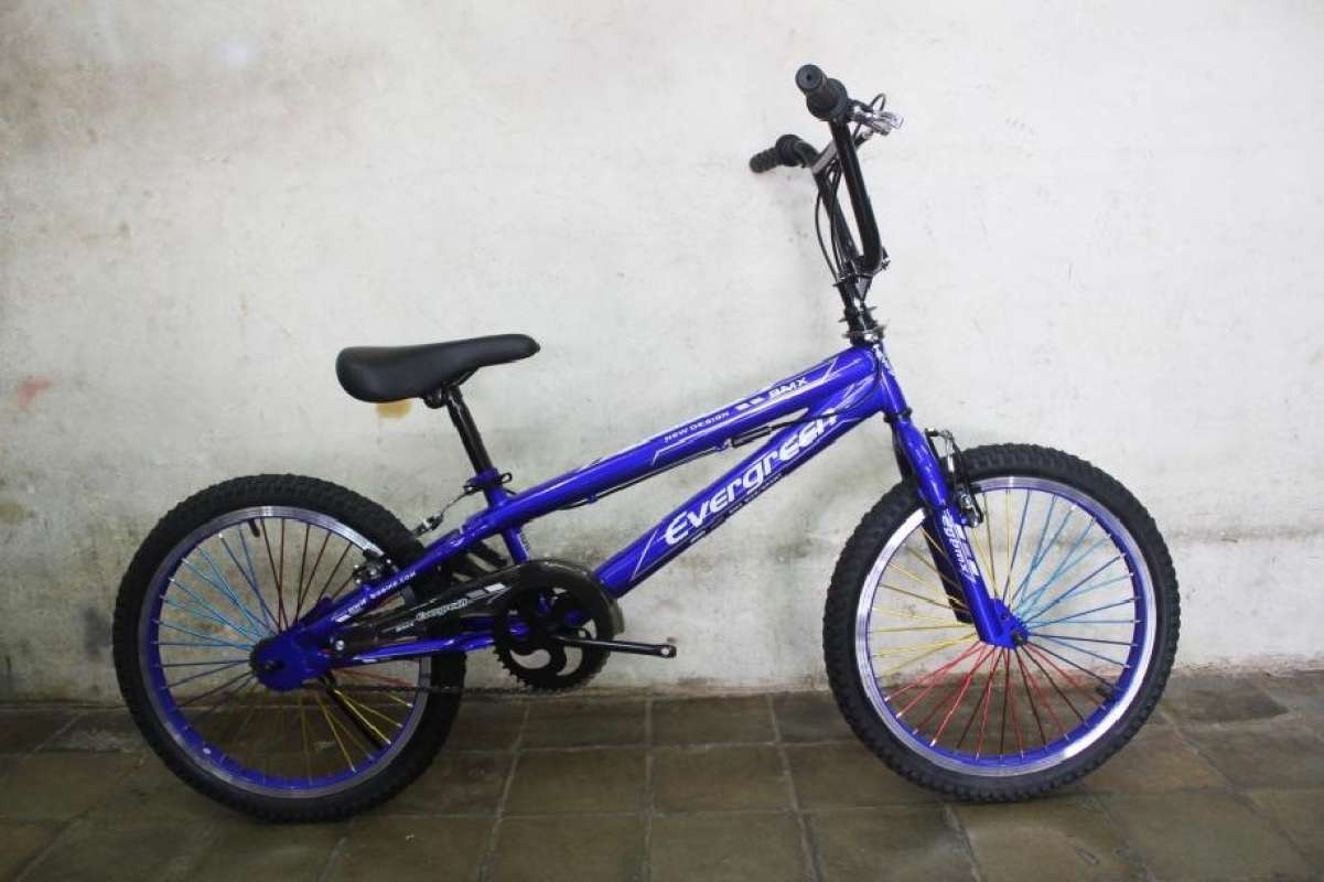 Jual Sepeda Bmx Anak-anak Ukuran 20 Evergreen Biru Stang Rotor Di ...