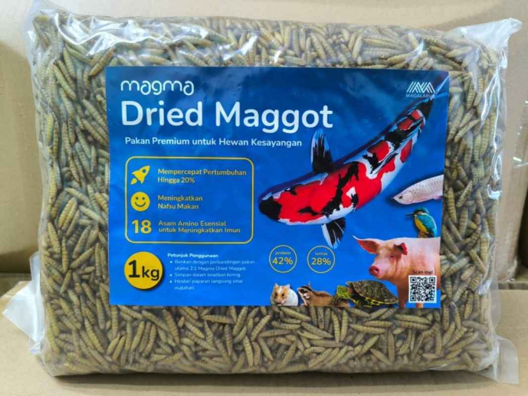 Jual Dried Maggot Kering Bsf 1kg Kualitas Premium Grade A -1kg - 1kg Di ...