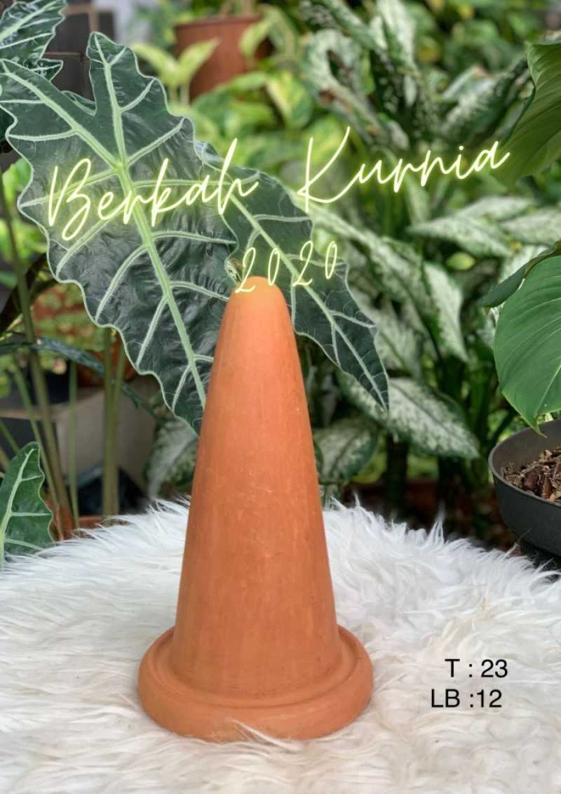 Promo Discus Breeding Cone Tempat Bertelur Ikan Discus Tempat Bertelur ...