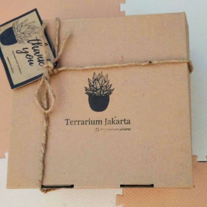 Promo Terrarium Sukulen & Kaktus Medium Tipe Iii | Gift Plant | Kado ...
