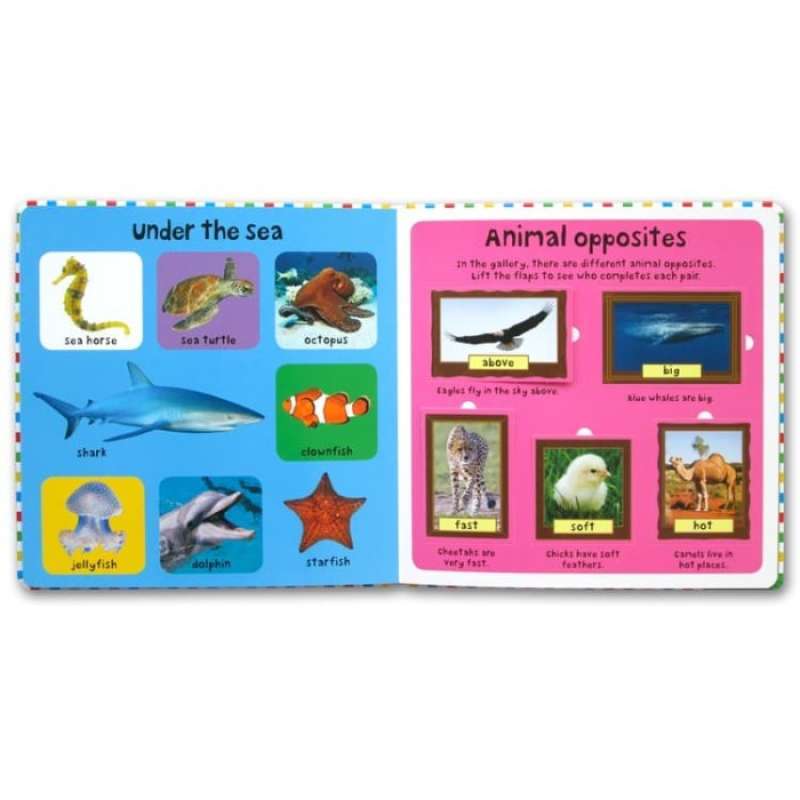 Promo Ori First 100 Animals Board Book Flap Buku Edukasi Anak Mengenal ...