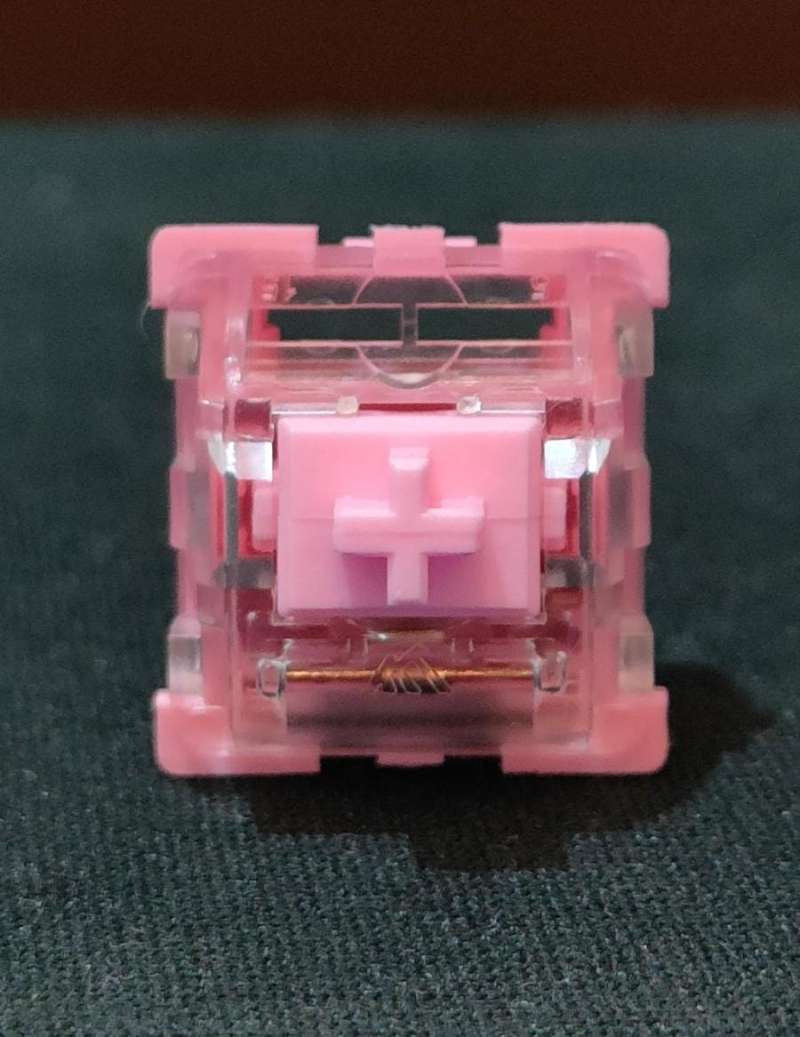 Daftar Harga Ktt Rose Swicth 🔥 Original & Spesifikasi Lengkap Januari 2026