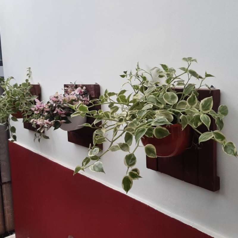 Jual Hiasan Dinding/ Pot Tanaman Di Seller Sangninja - Cengkareng Timur ...