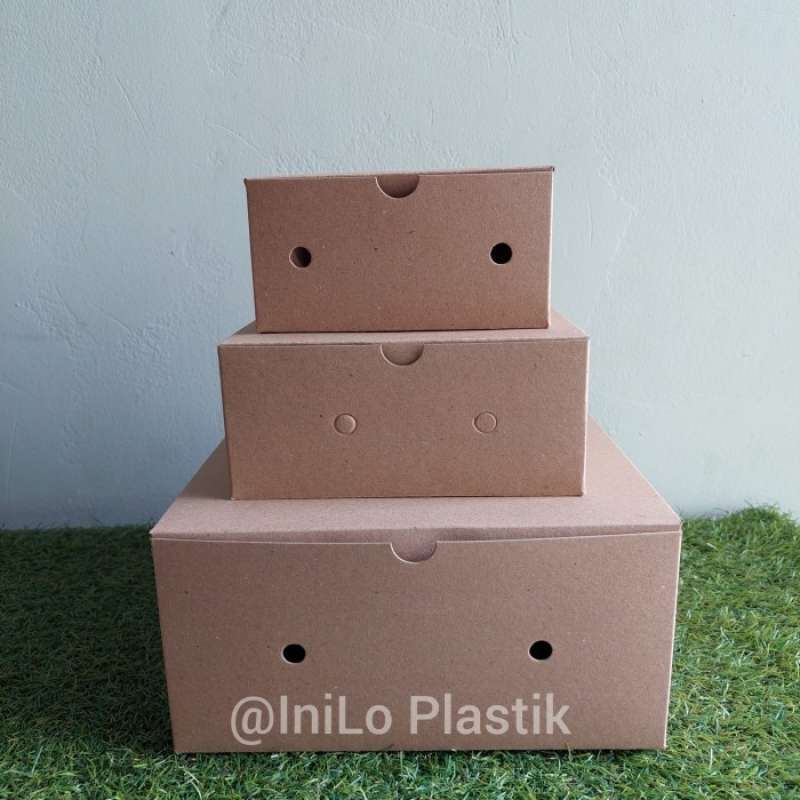 Jual @1pack Box Kraft Window 25x25x12 / Dus Bk Square Full Laminating ...